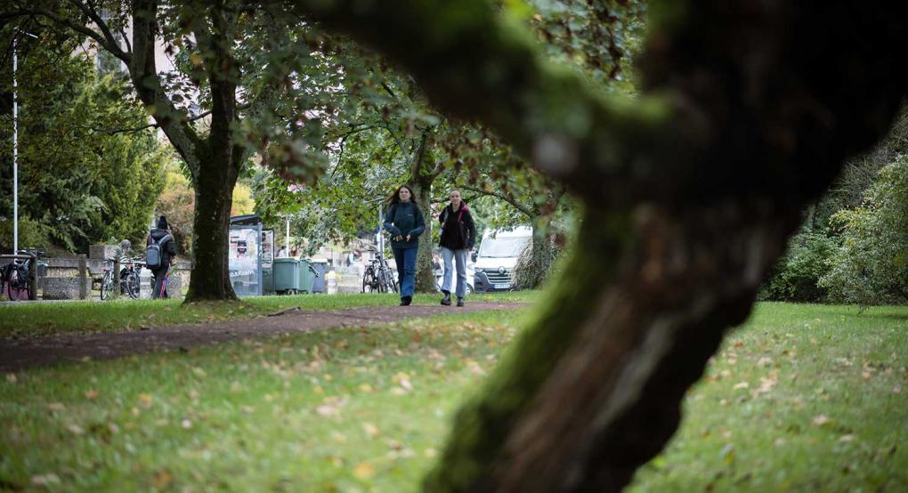 LDD3 Sociologie, Science Politique | École universitaire Paris-Saclay